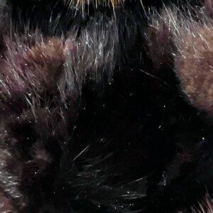 Rare Bear | Other | Teddy Bear Mink Vintage Dark Brown And Beige 8 ...